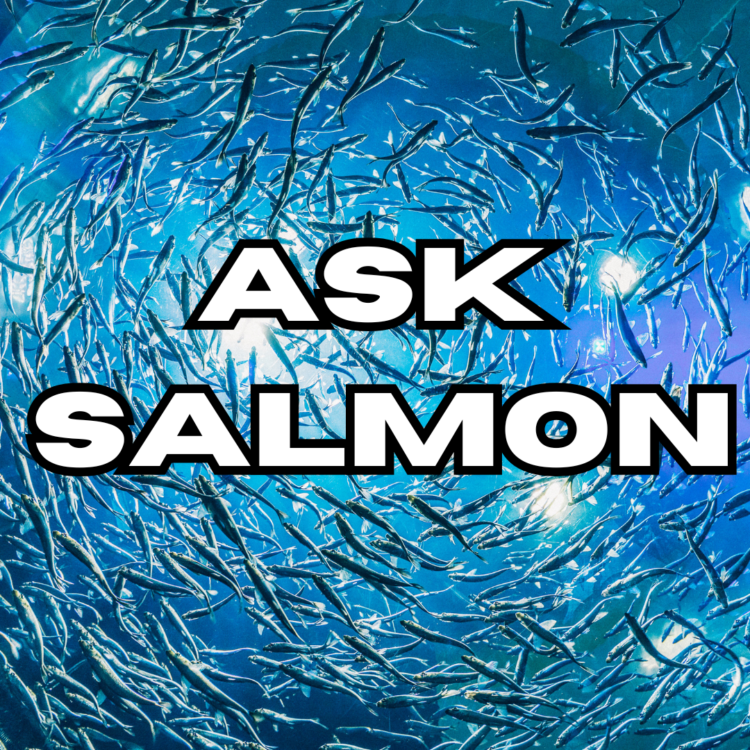 Ask Simone… or Salmon – Smoke Signals